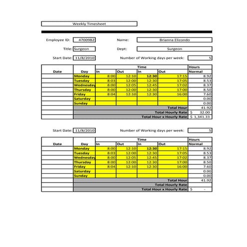 Timesheet | PDF