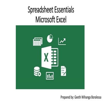 Excel Introductory lesson.pptx