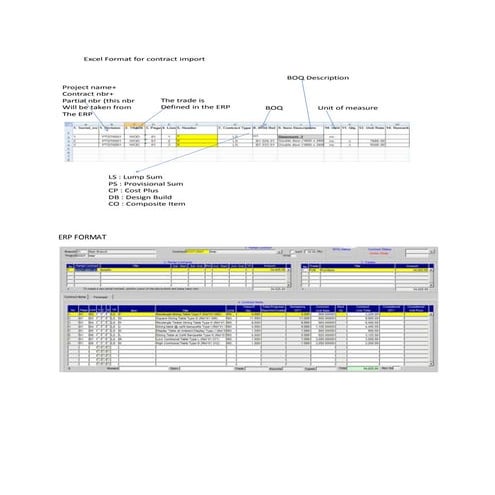 Excel format vs erp format | DOCX