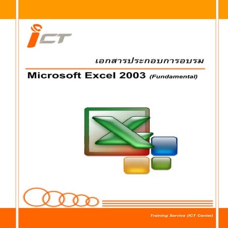 Microsoft Excel 2003 | PDF