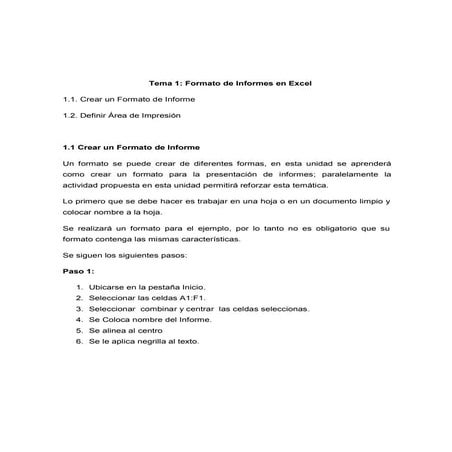 Excel guia 1, formato de informes | PDF