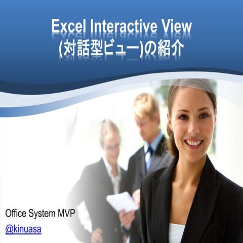Excel Interactive Viewの紹介 | PDF