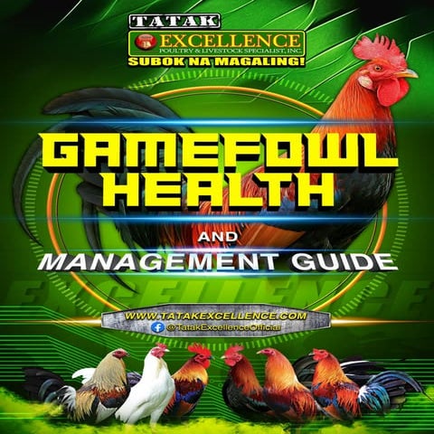 Excellence gamefowl catalogue 1 pvma | PDF