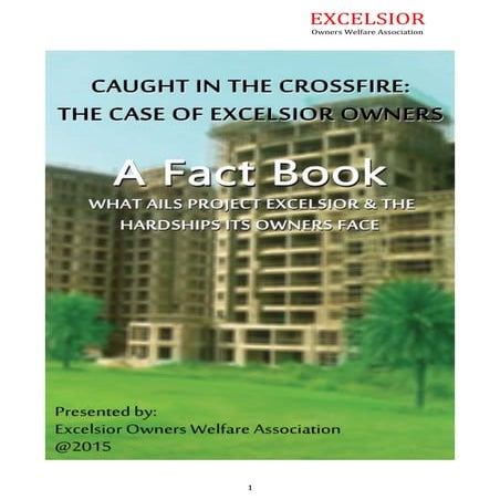 Excelsior owners welfare association white paper | DOCX