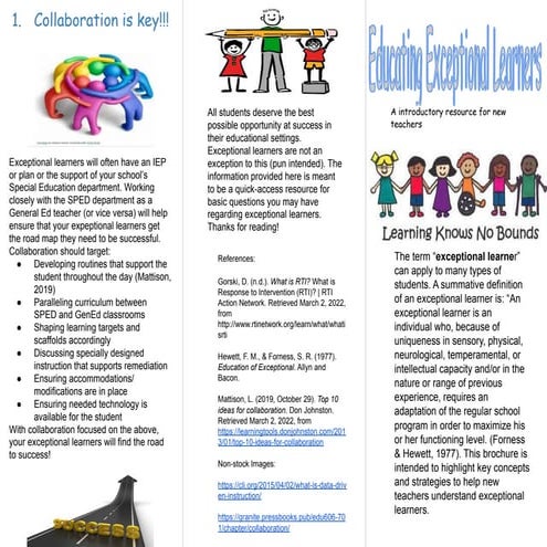 Exceptional Learner Artifact..pdf