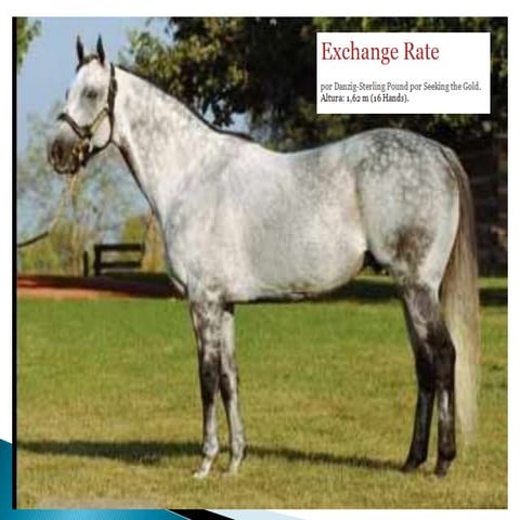 EXCHANGE RATE | PPTX