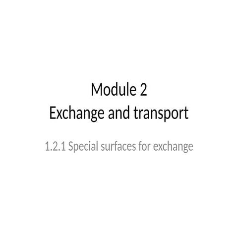 Different exchange_surfaces in organisms | PPTX