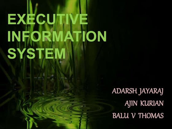 Executive Support System (ESS) | PPTX | Computing | Technology & Computing