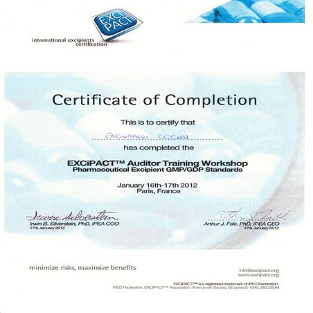 Ex Ci Pact Auditor Training Workshop | PDF