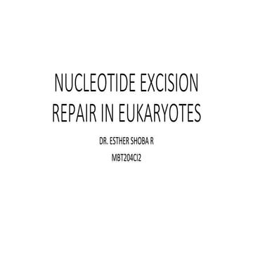 EXCISION REPAIR.pptKey Features of Nucle | PPT