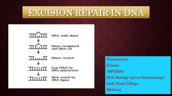 Personalized medicine ppt | PPT