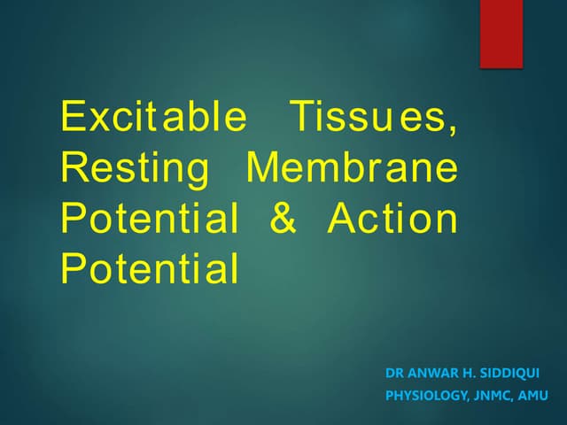Transmission of nerve impulses | PPT