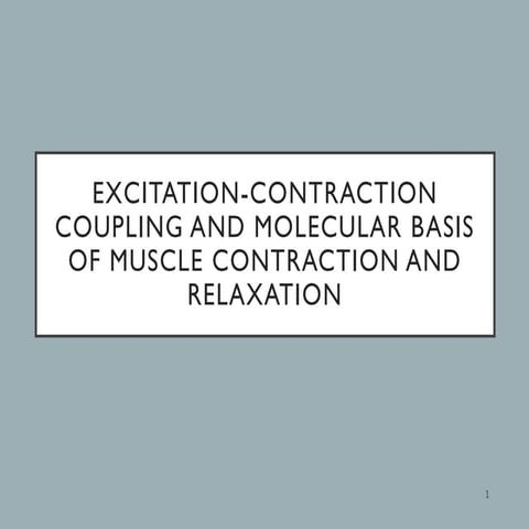 Excitation-Contraction Coupling and Molecular Basis of Muscle ...