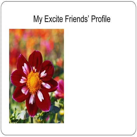 Excite powerpoint | PPTX