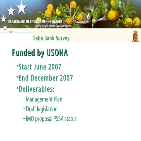 Saba Bank Project 2007/08 | PPT