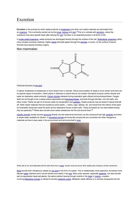 Insect Excretory System | PPTX