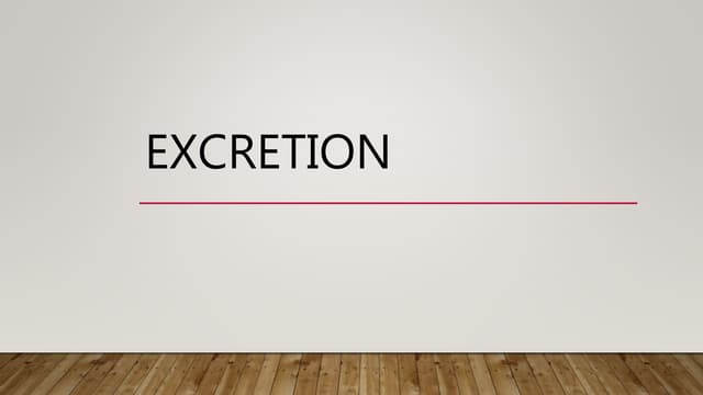 Mrs gren and kingdoms | PPT