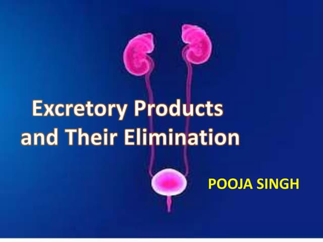 EXCRETORY STRUCTURE IN FISH .pptx