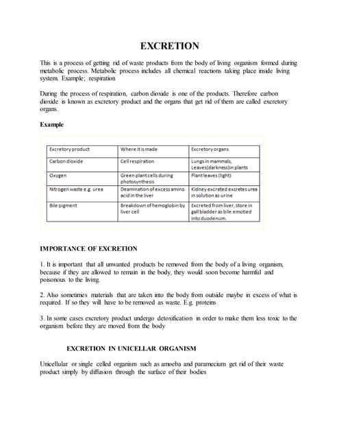 class 11 biology excreation ppt.pptx | Chemistry | Science