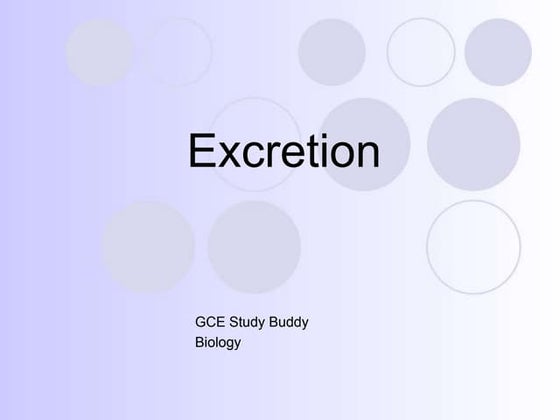 Igcse Biology 91 2i Excretion Humans Teaching Resources Excretion In
