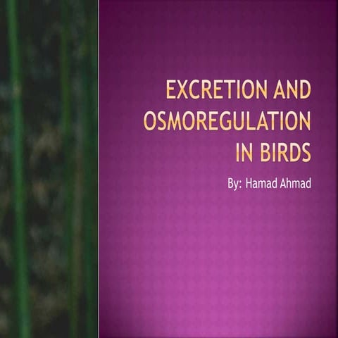 Excretion and osmoregulation in birds | Zoology | Hamad Ahmad | PPT