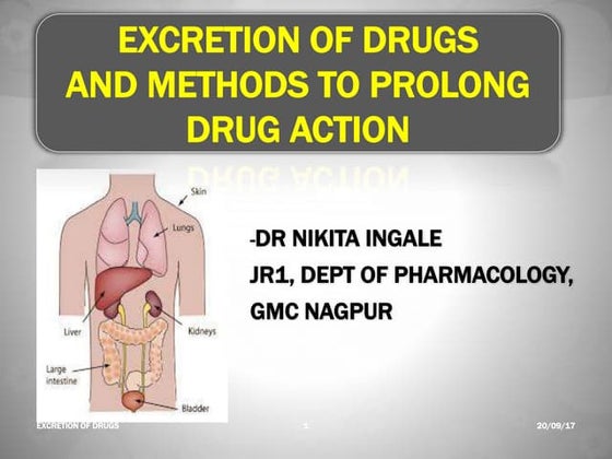 Drug Elimination | PPT