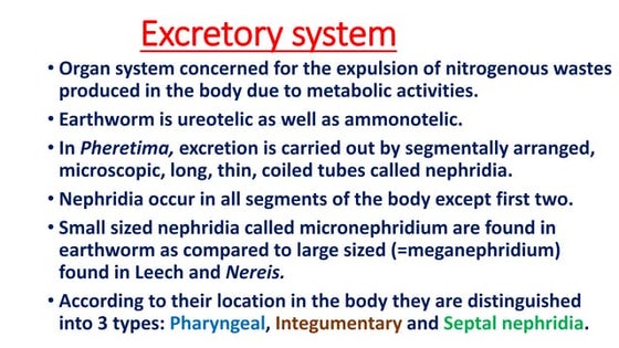 Excretory system of earthworm , Three types of nephridia, structure of ...