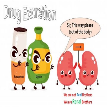 Excretion of drugs, Pharmacokinetics | PPT
