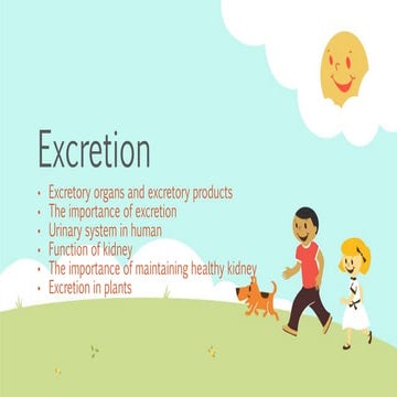 Excretion ppt | PPT