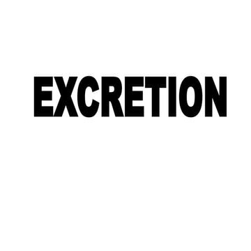 FULL EXCRETION TEACHER'S final copy.pptx
