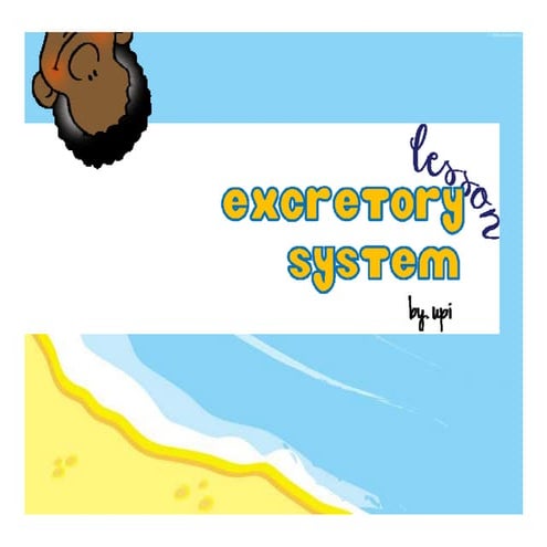 Excretory System | PDF
