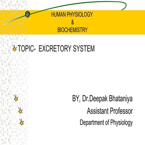 Introduction excretory-system of Human Body | PPT