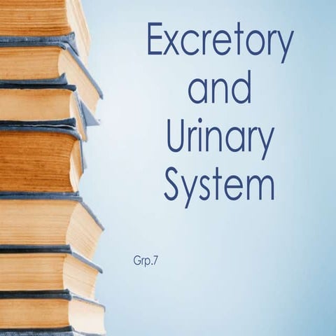 Excretory and urinary system | PPTX
