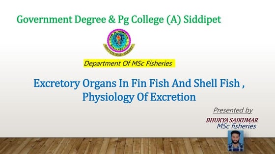 EXCRETORY STRUCTURE IN FISH .pptx