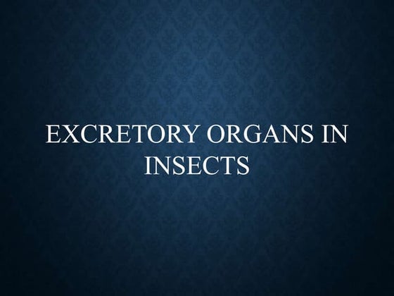Lec. 17 Structure and functions of excretory system in insects.ppt