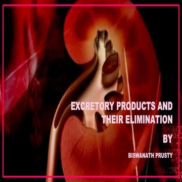 Cow´s kidney dissection | PDF