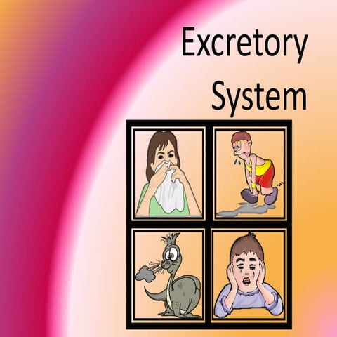 Excretory System In Human Beings | PPTX