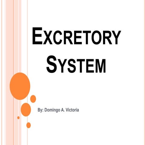 Excretory system | PPTX