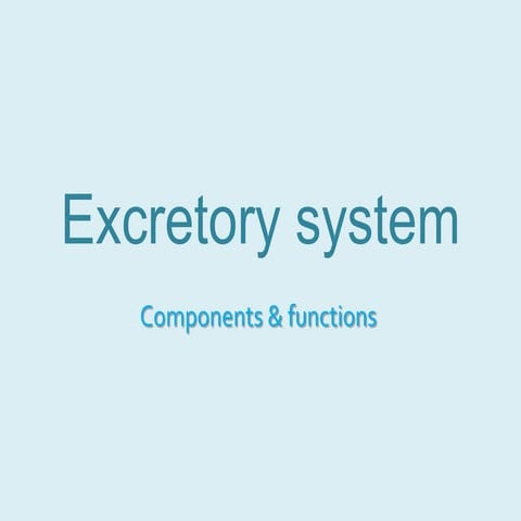 Excretory system | PPTX