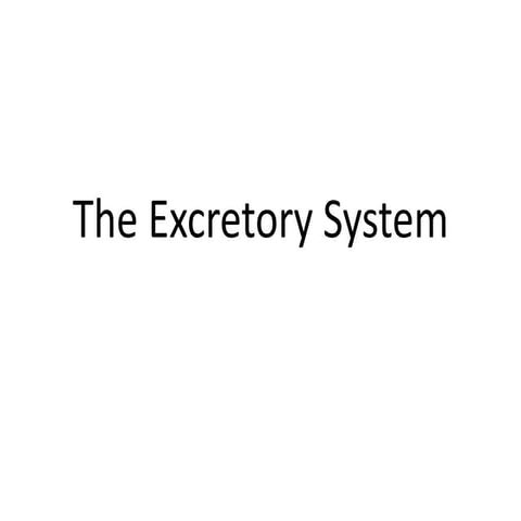 Excretory system | PPTX | Chemistry | Science