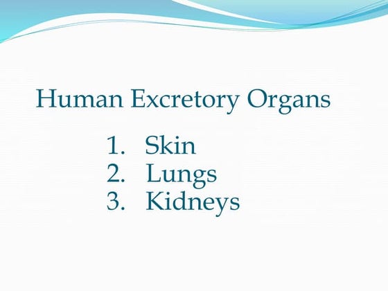 Excretory System | PPT