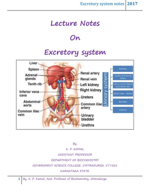 Excretion (biology) class 10th | PPTX