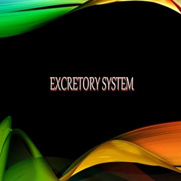 Excretory system | PPT