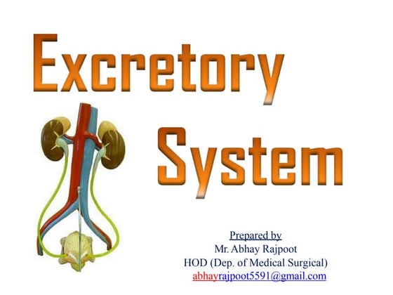 The excretory system | PPT
