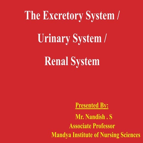 Excretory System.pptx