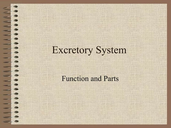 EXCRETORY SYSTEM explained in detail.ppt