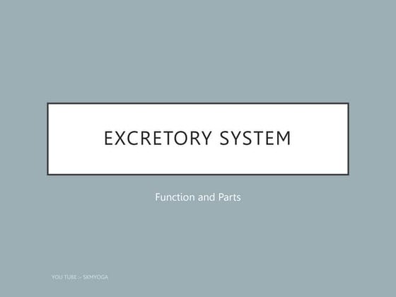 Excretory_System.ppt for middle school science class | PPT