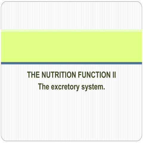 The excretory system. | PPT