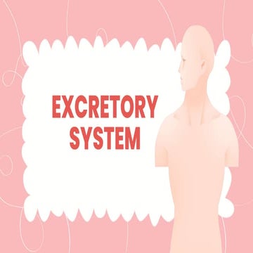 Excretory System | PPTX