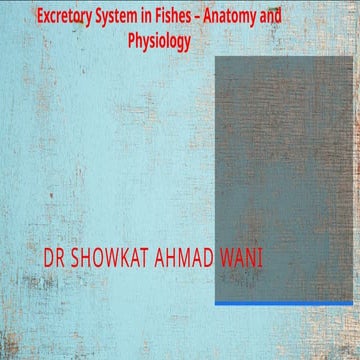 Excretory System in Fishes – Anatomy and Physiology - Copy.pptx